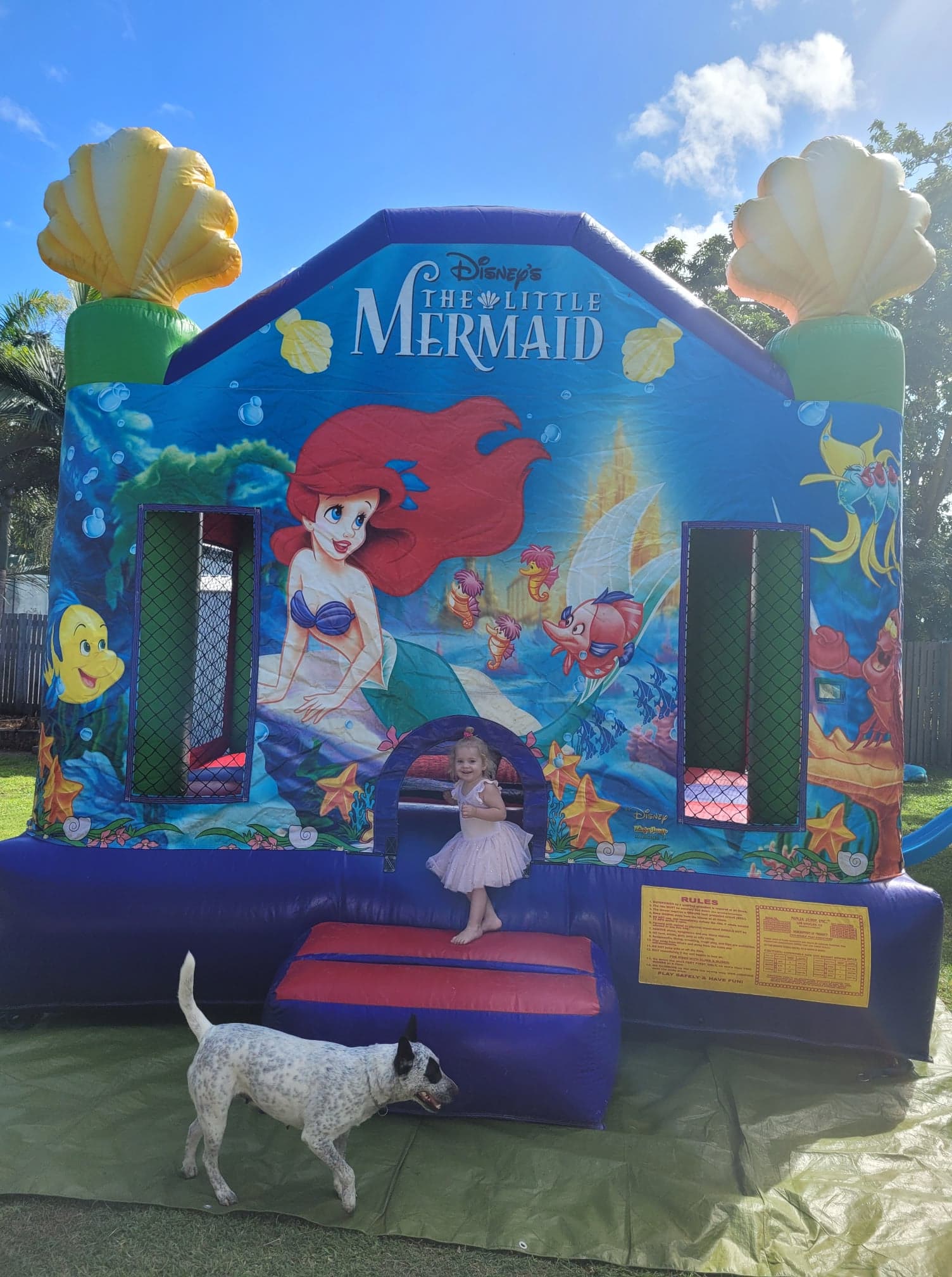 Townsville Inflatables – Inflatable Castle Hire